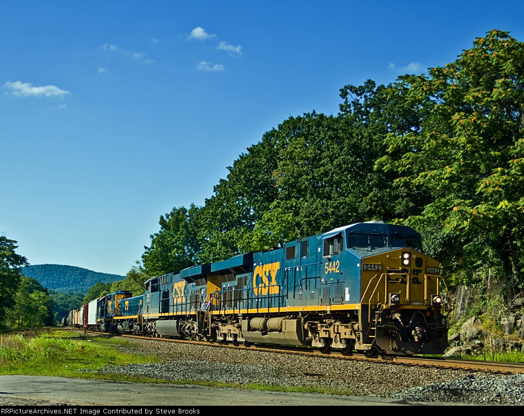 CSX 5442